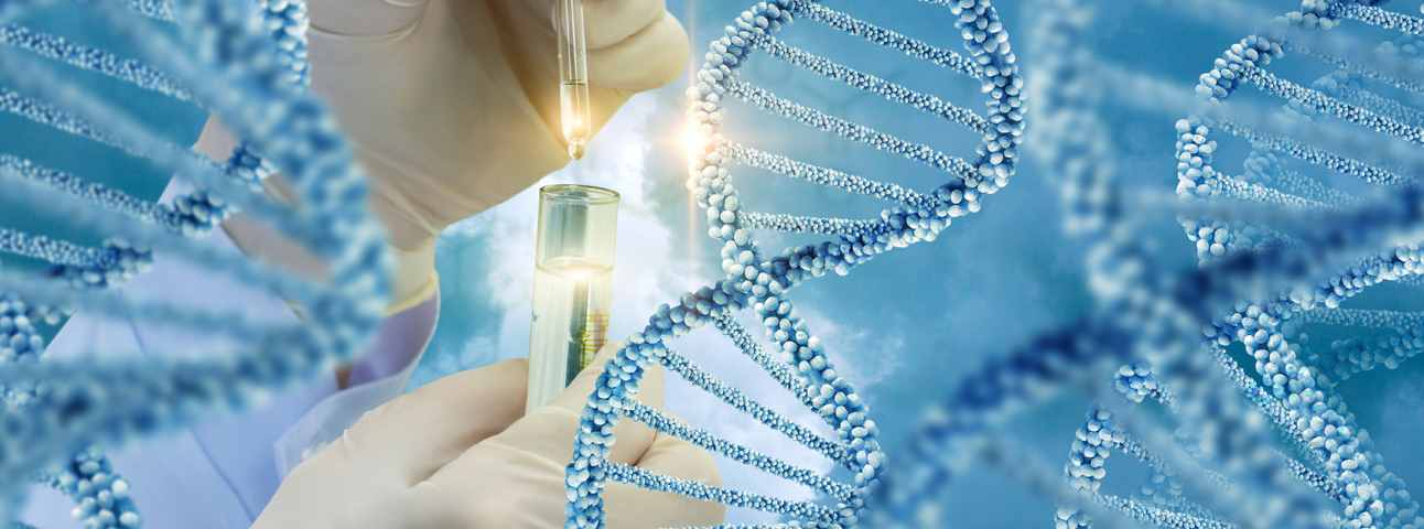 DNA Tests for Jewishness - The Israel Democracy Institute