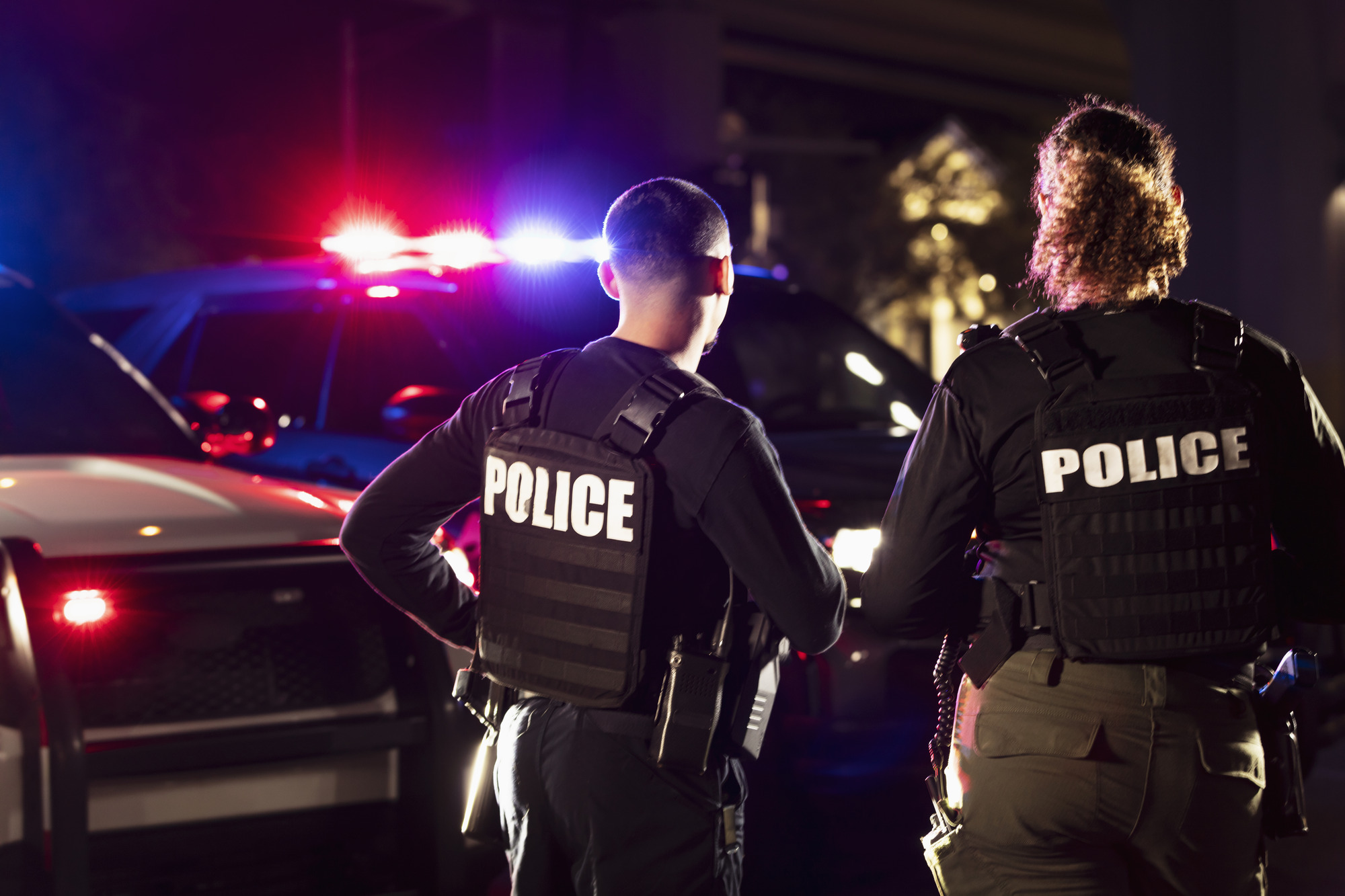 The Takeover of Law Enforcement and Security Agencies as a Pivotal ...